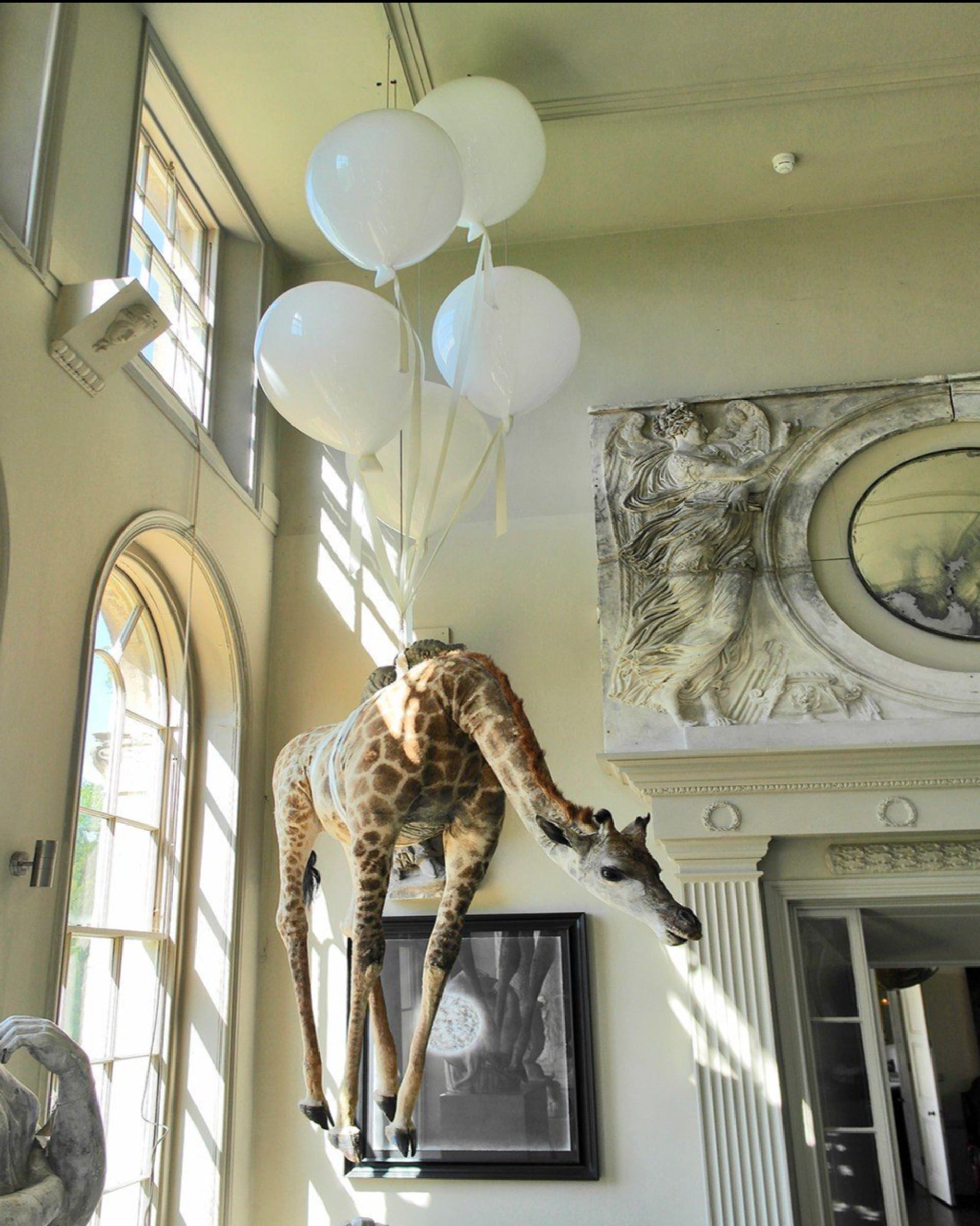 Giraffe balloon store